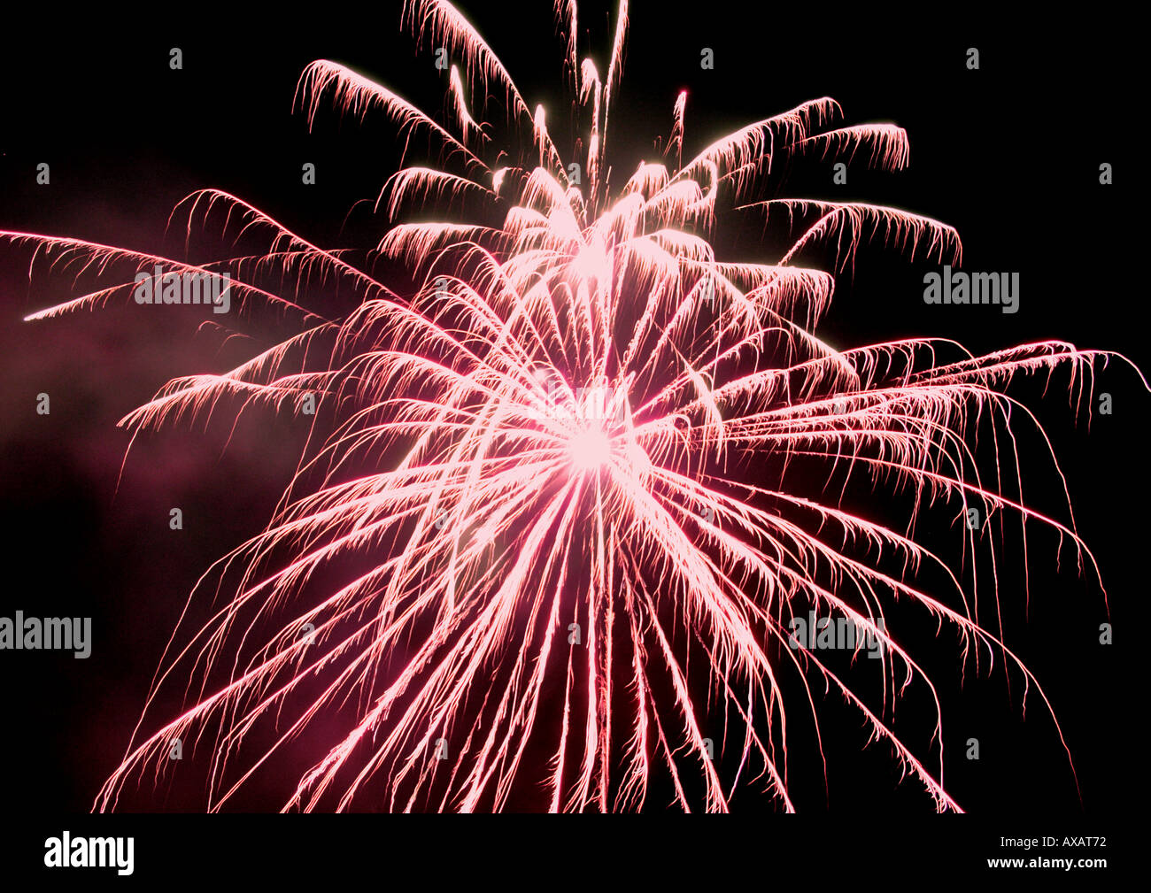 pink firework explosion Stock Photo - Alamy