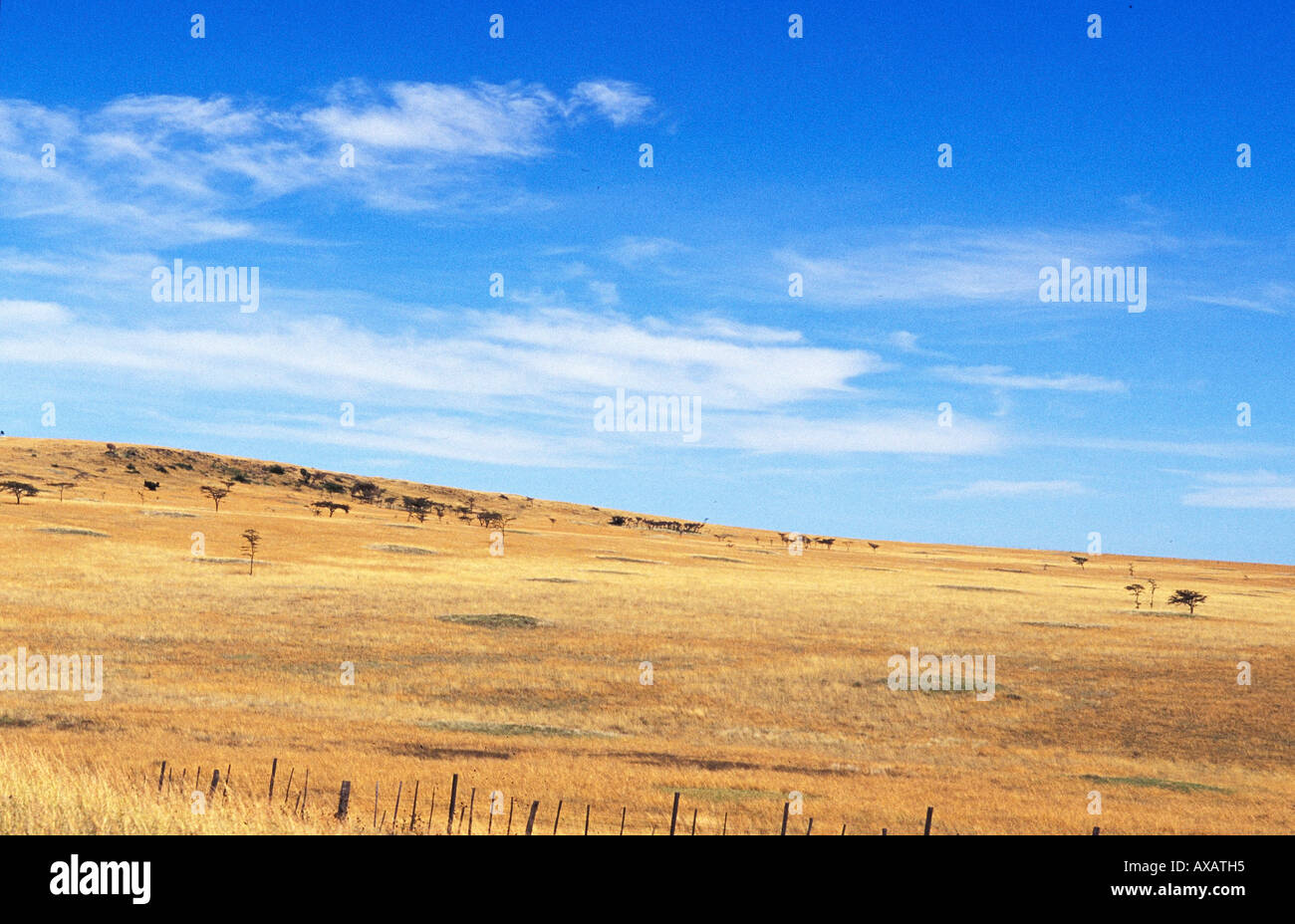 Dry fields, landscape field Stock Photo - Alamy