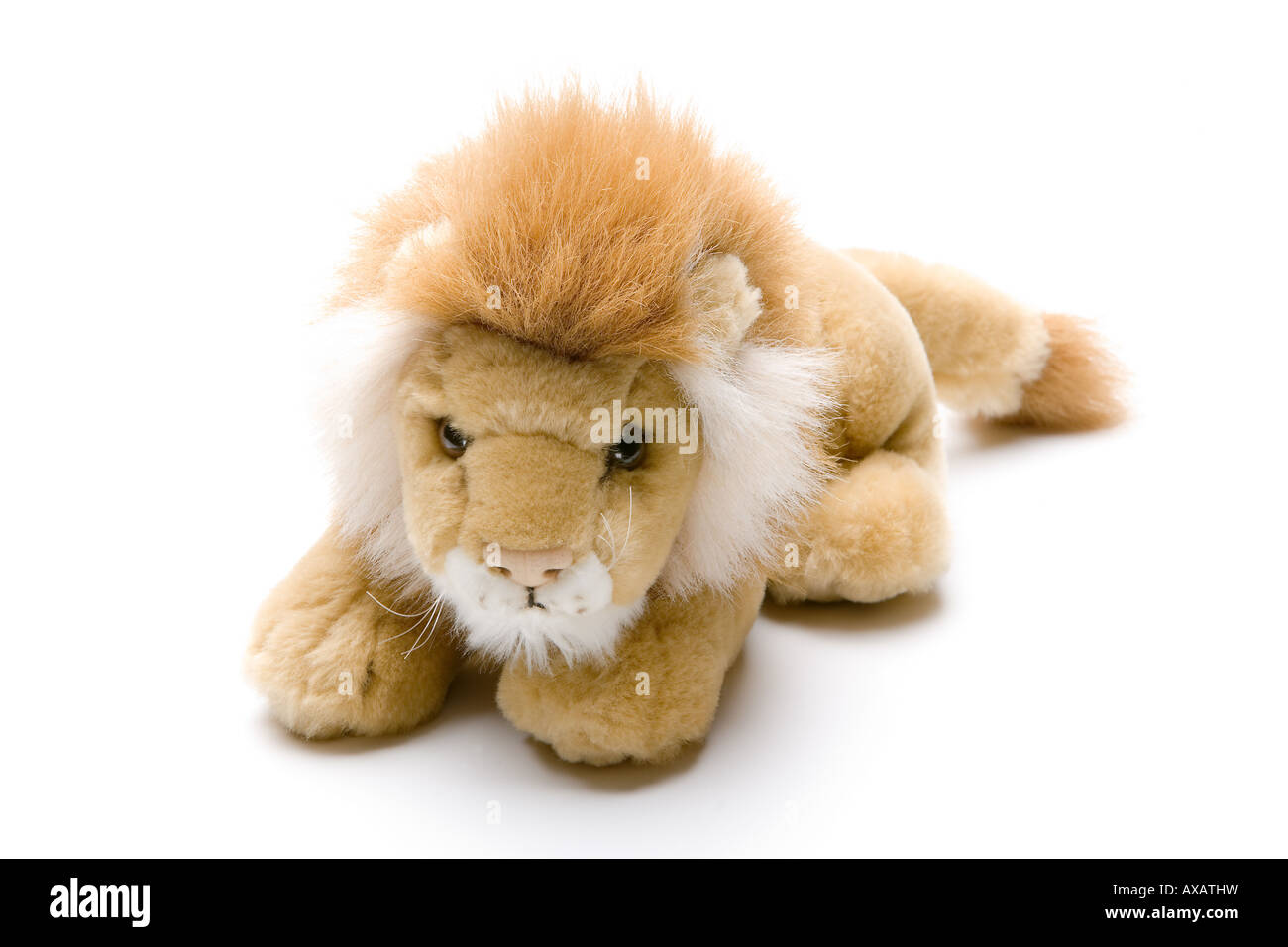 Stuffed Lion High Resolution Stock Photography and Images - Alamy
