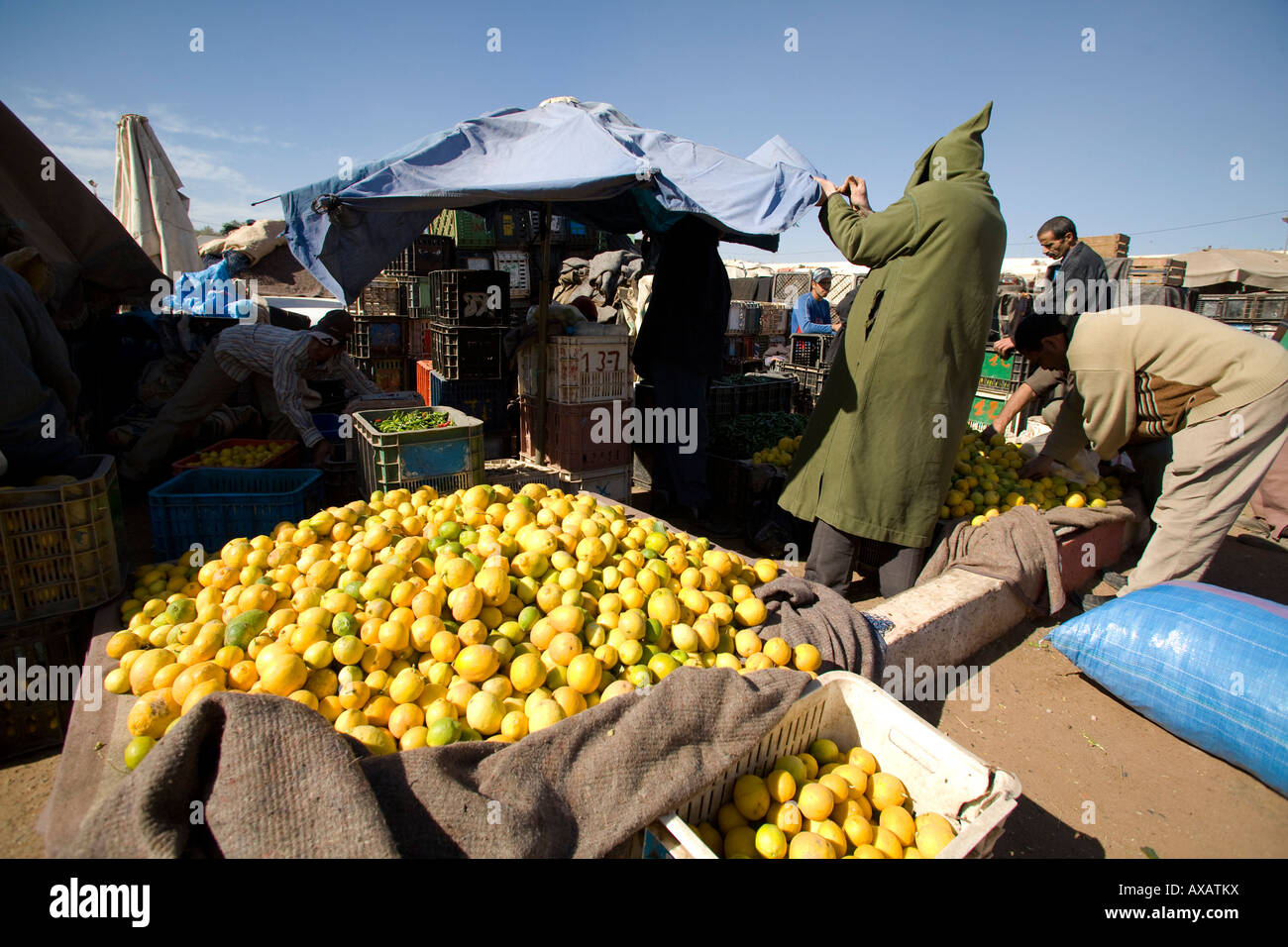 Agadir market, Morocco, West Africa.Traders with stall, tent. potatoes ...