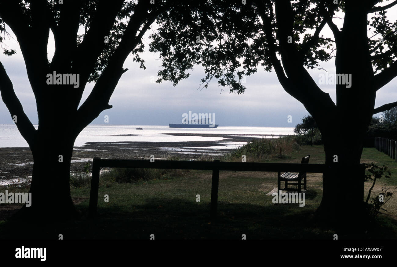 WHITECLIFF BAY. ISLE OF WIGHT. HAMPSHIRE. ENGLAND. UK Stock Photo - Alamy