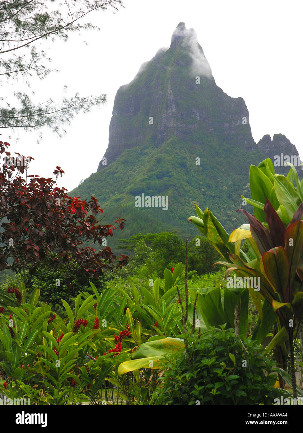 Mount mouaroa hi-res stock photography and images - Alamy