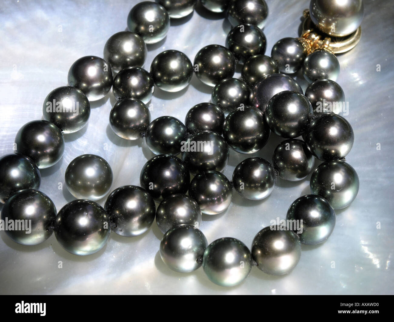 Black pearls Manihi island French Polynesia Stock Photo - Alamy