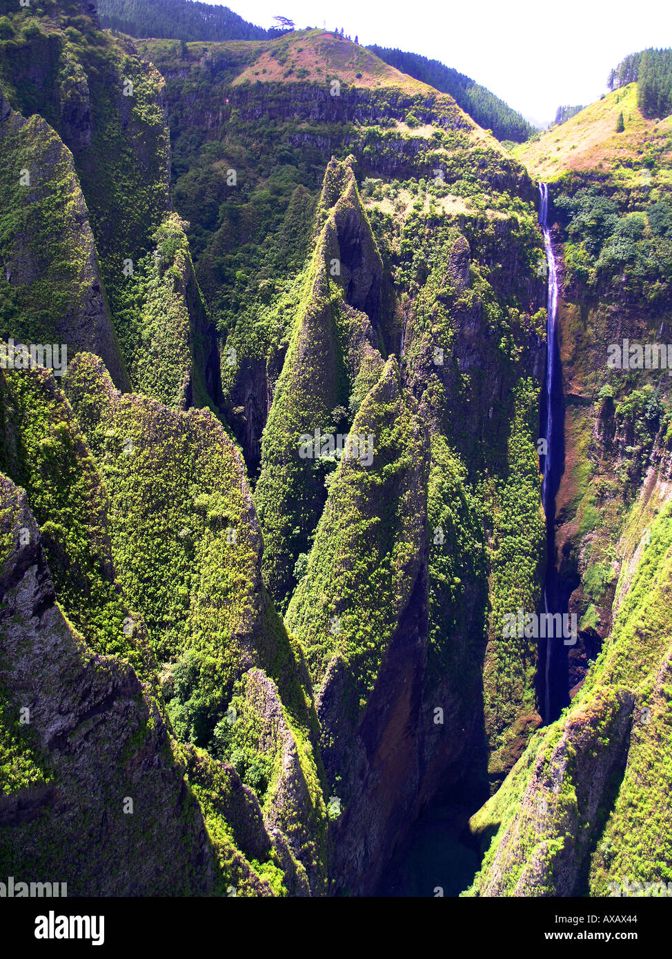 Waterfall Nuku Hiva Marquesas Islands French Polynesia Stock Photo - Alamy