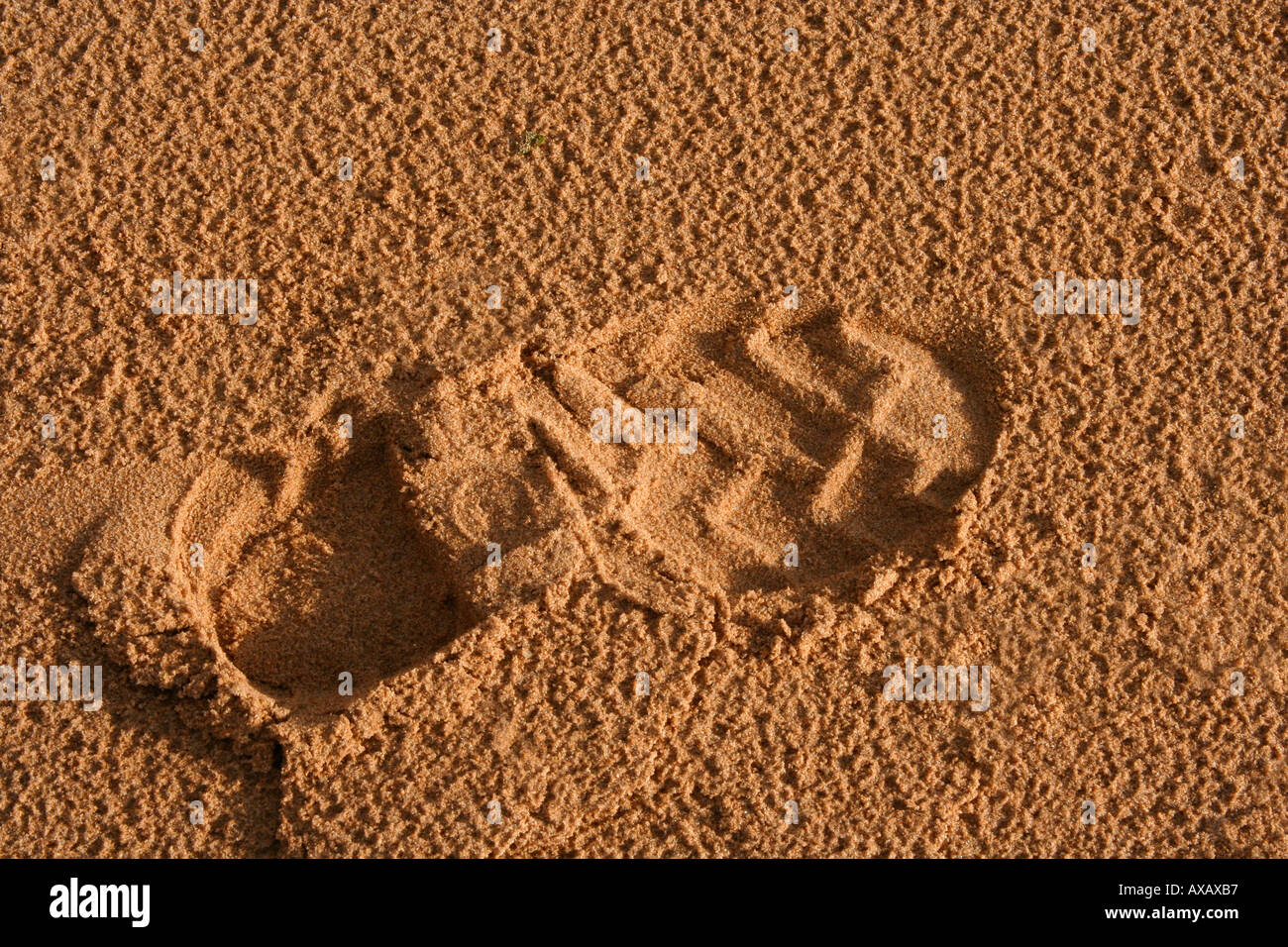 Foot Print in the sand Stock Photo - Alamy