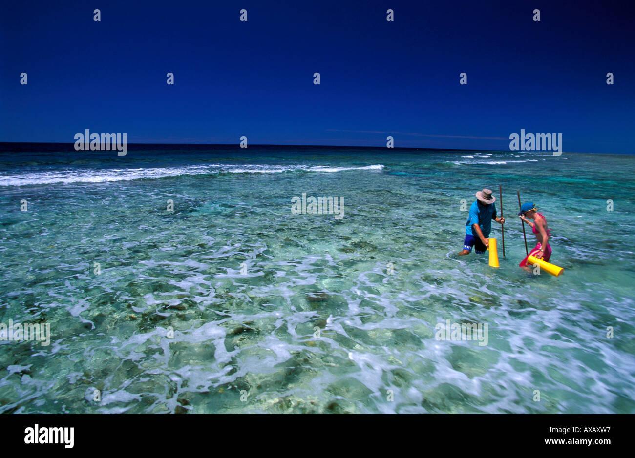 Reef walk, Heron Island, Great Barrier Reef Queensland, Australia Stock ...