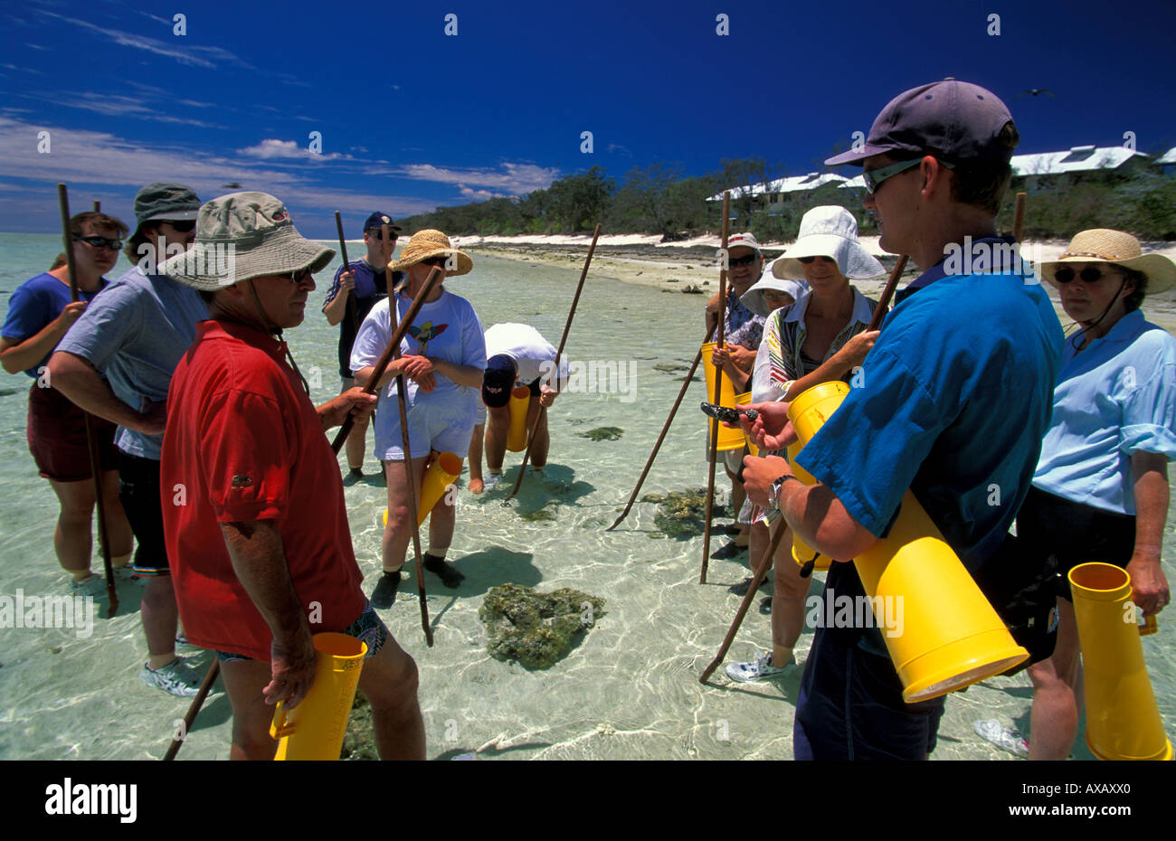 Reef Walk, Heron Island, Great Barrier Reef Queensland, Australia Stock ...