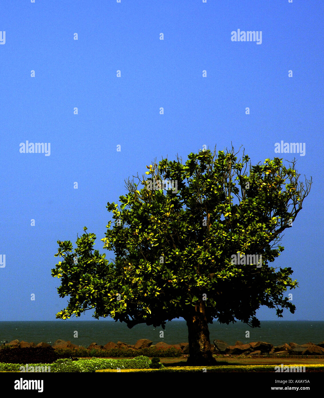 Cover vignette hi-res stock photography and images - Alamy