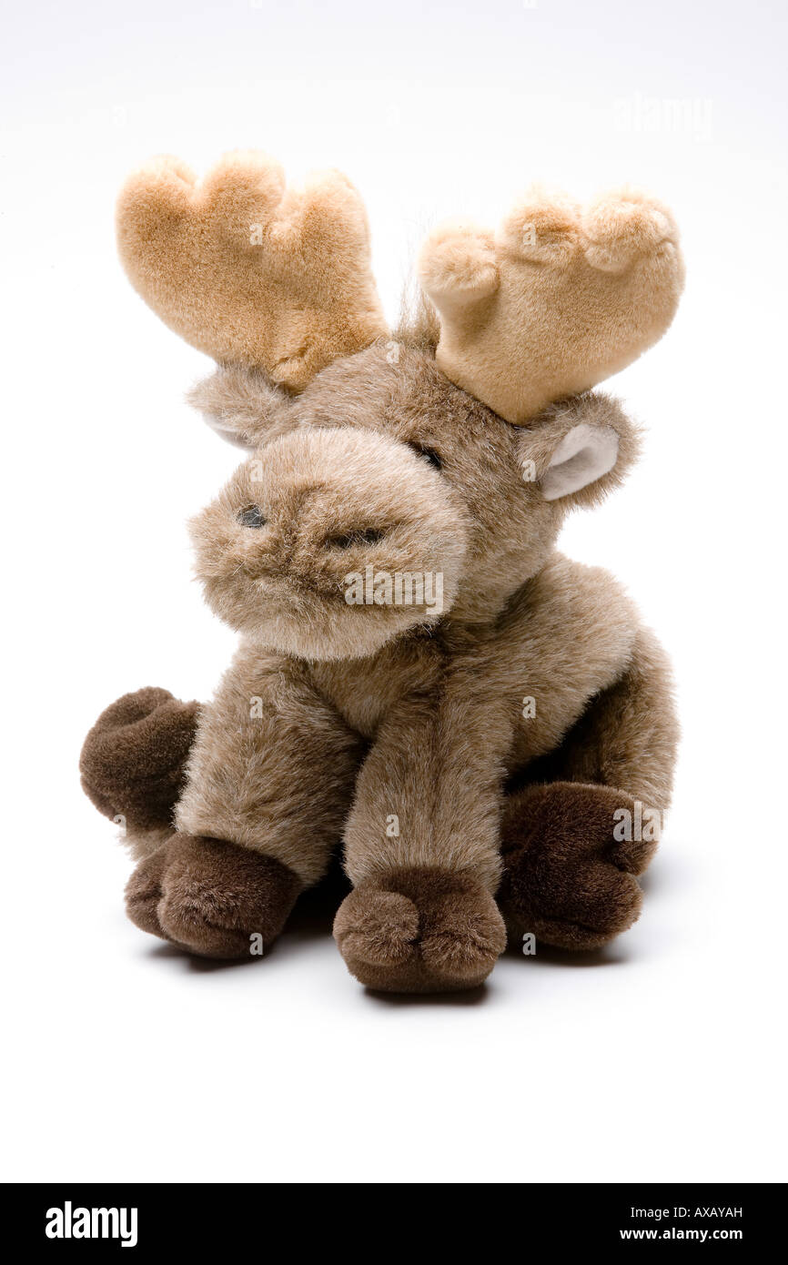 Moose Stuffed Animal High Resolution Stock Photography and Images - Alamy