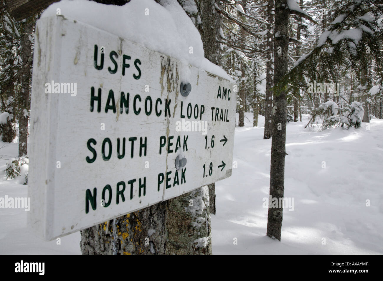 Snowshoeing on the Hancock Loop Trail in the White Mountains New ...