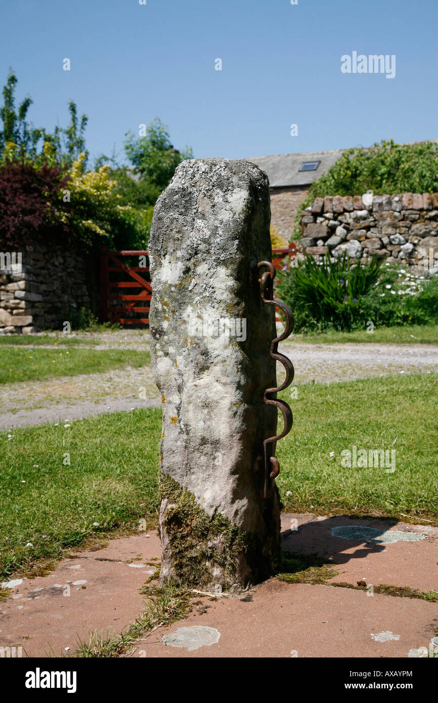 Tethering hi-res stock photography and images - Alamy