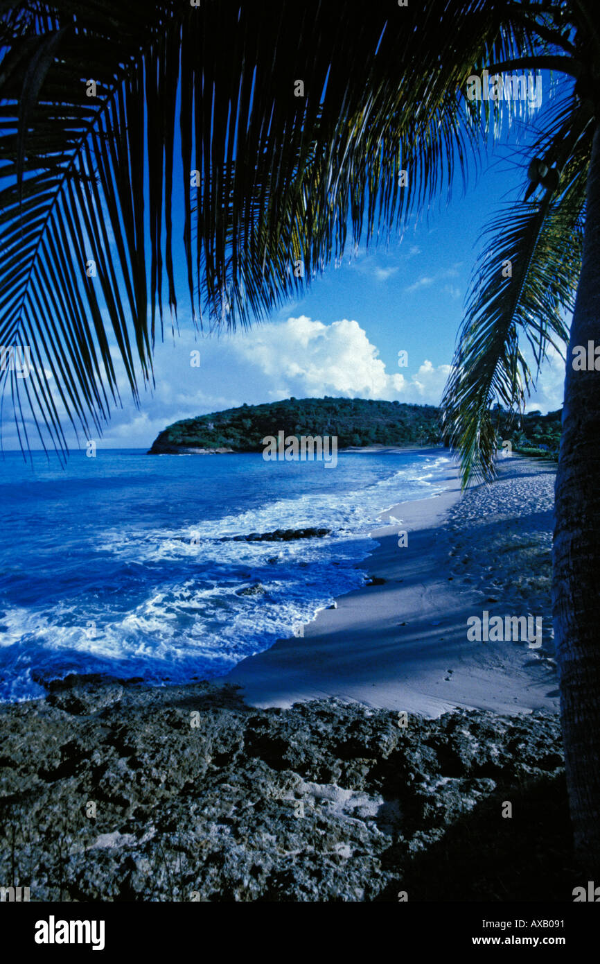 Antigua, Hawksbill Beach Stock Photo - Alamy