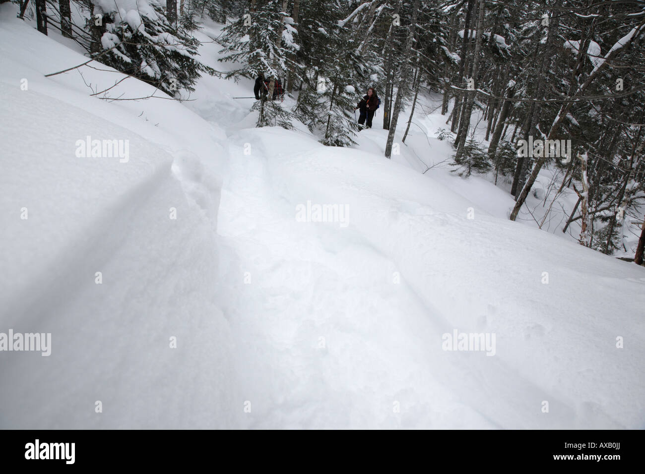 Hikers snowshoeing on the Hancock Loop Trail in the White Mountains New ...