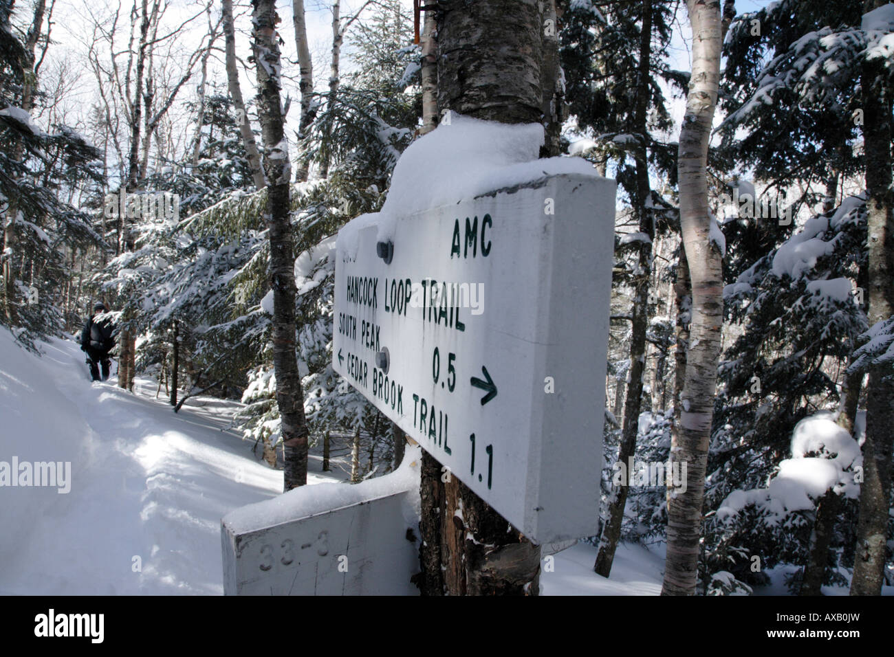 Hikers snowshoeing on the Hancock Loop Trail in the White Mountains New ...