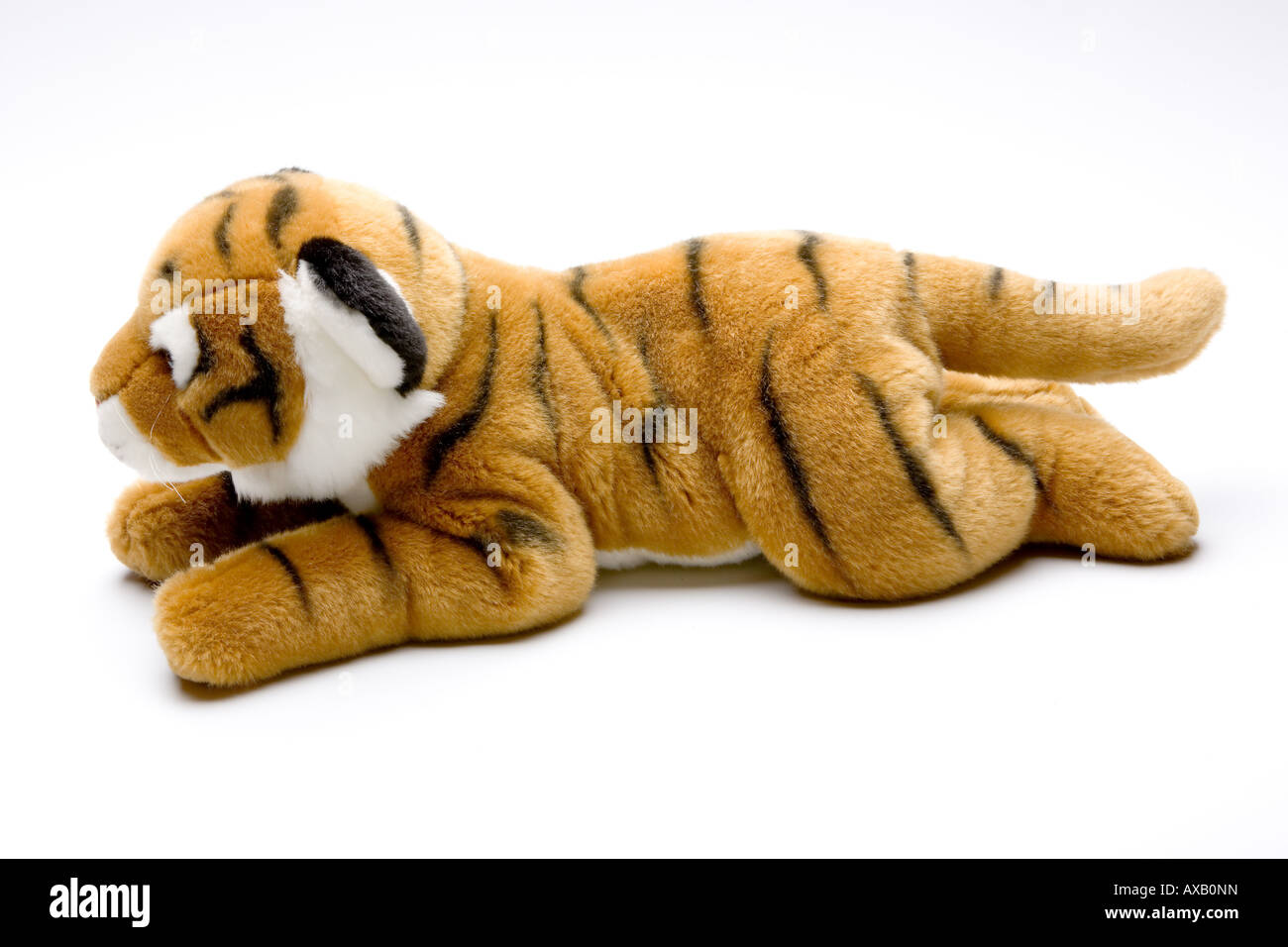 Tiger outline hi-res stock photography and images - Alamy