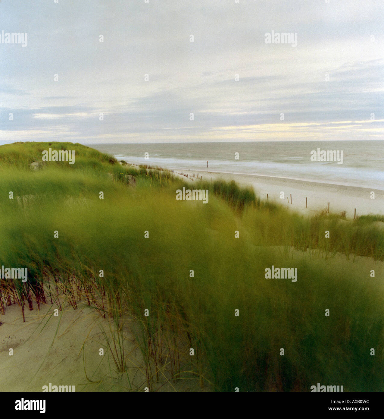 Beach at the Vuurtoren, Goeree-Overflakke, South Holland Netherlands ...
