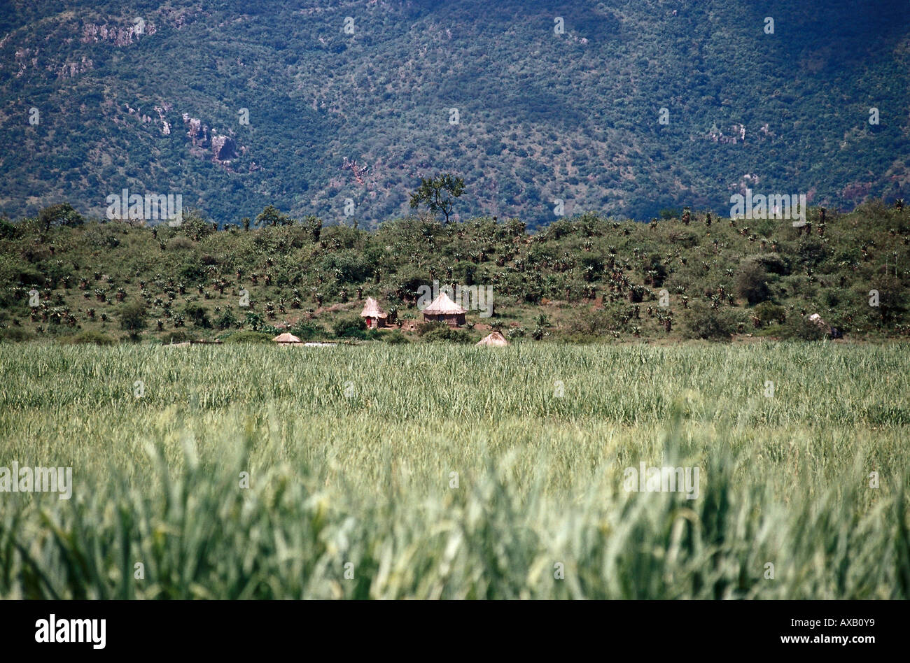 The Lowveld, Swaziland South Africa Stock Photo - Alamy