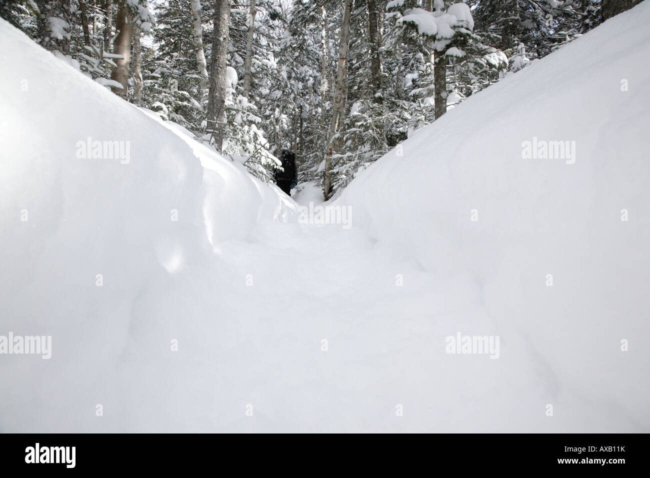 Hikers snowshoeing on the Hancock Loop Trail in the White Mountains New ...