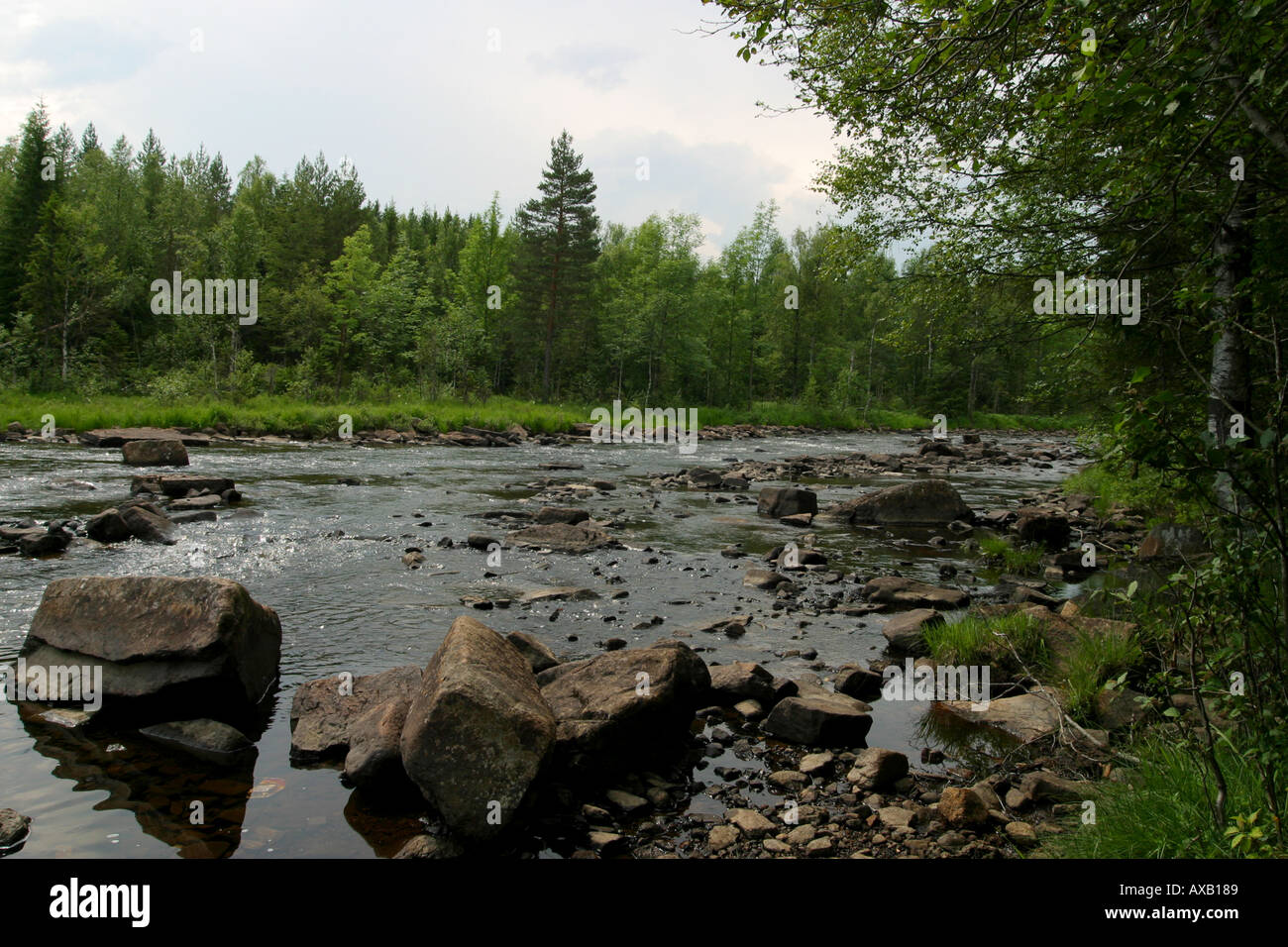 A river in Norway Stock Photo - Alamy