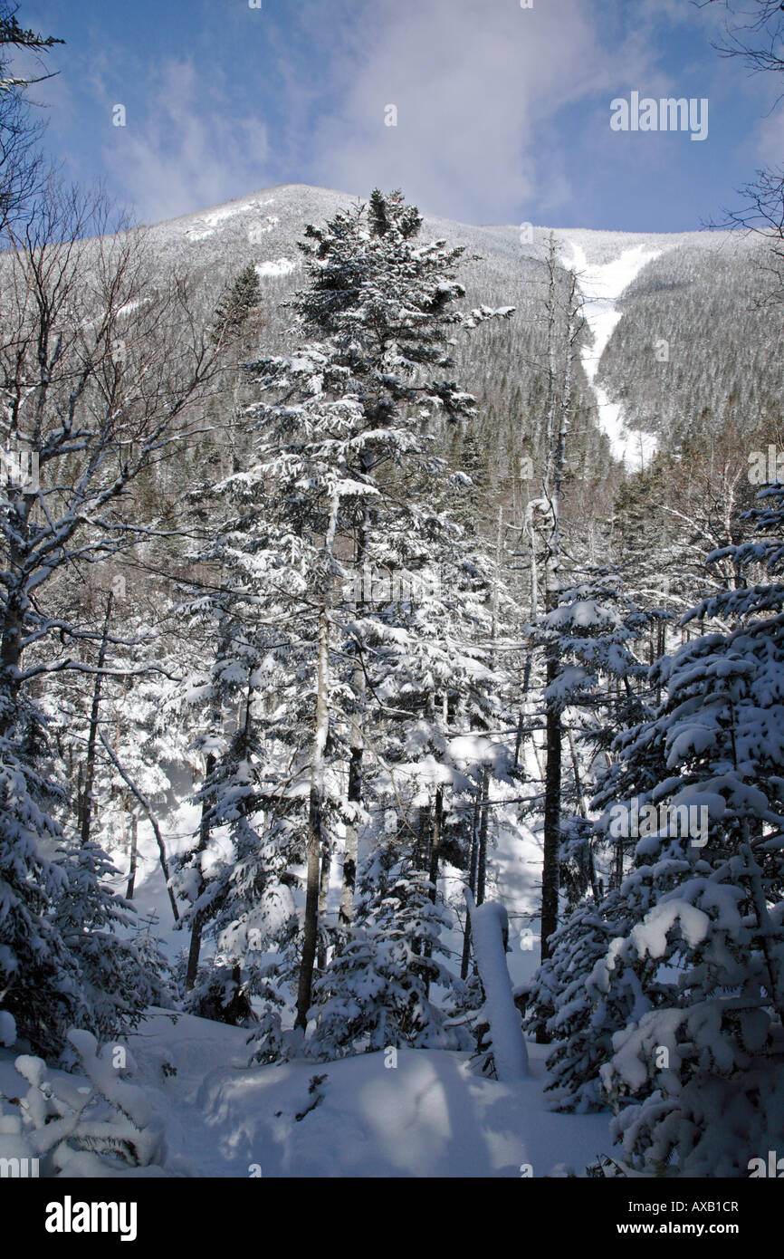 Hikers snowshoeing on the Hancock Loop Trail in the White Mountains New ...