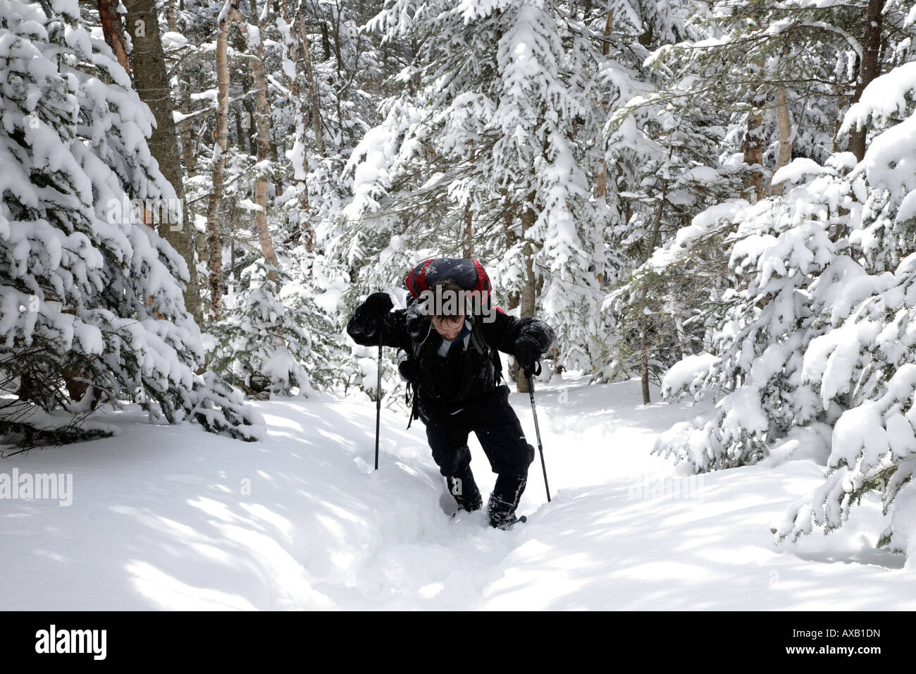 Hikers snowshoeing on the Hancock Loop Trail in the White Mountains New ...