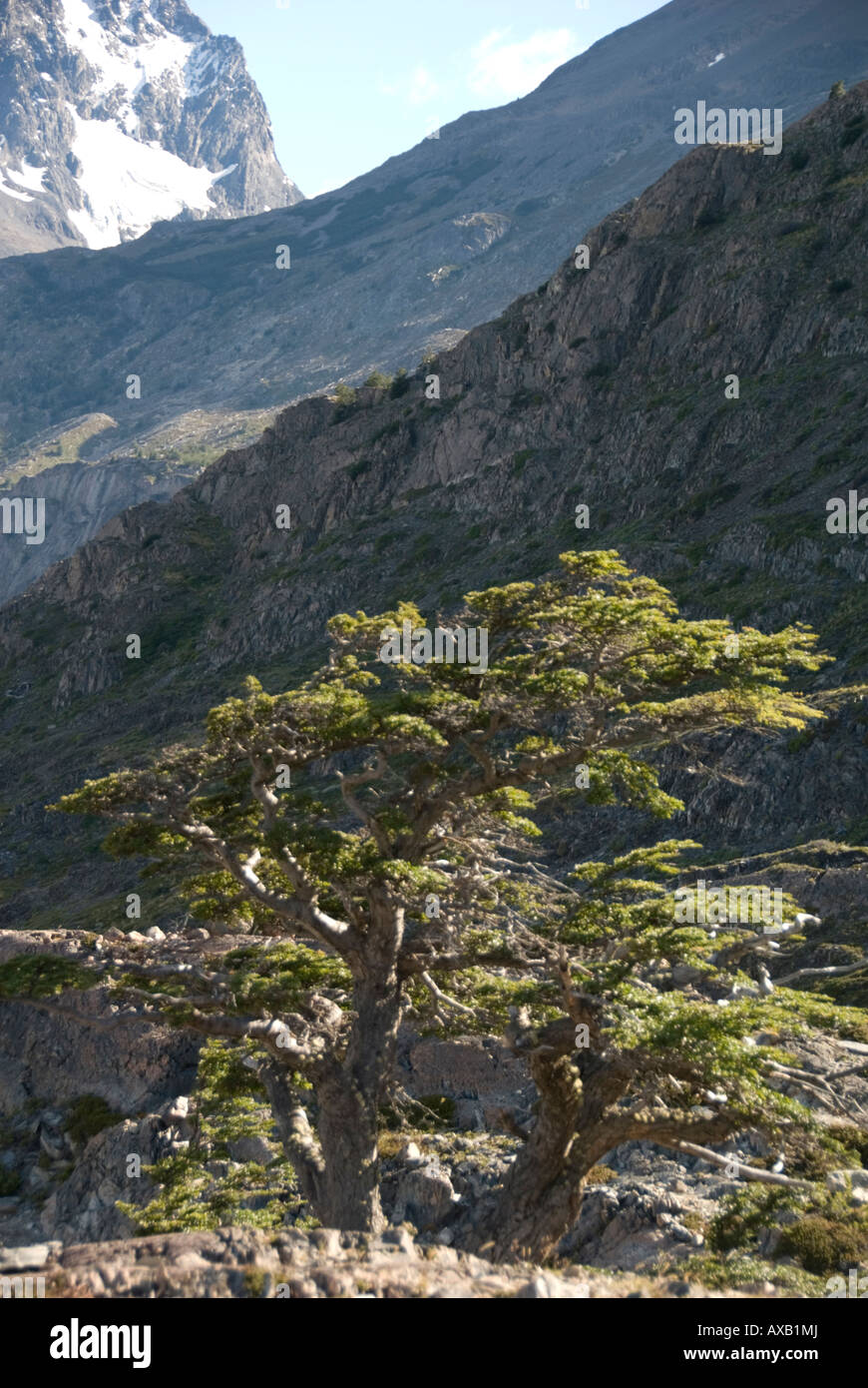 Andian Mountains,Andes,Snow,Camping,Hiking,Patagonian Stepp, Melt ...
