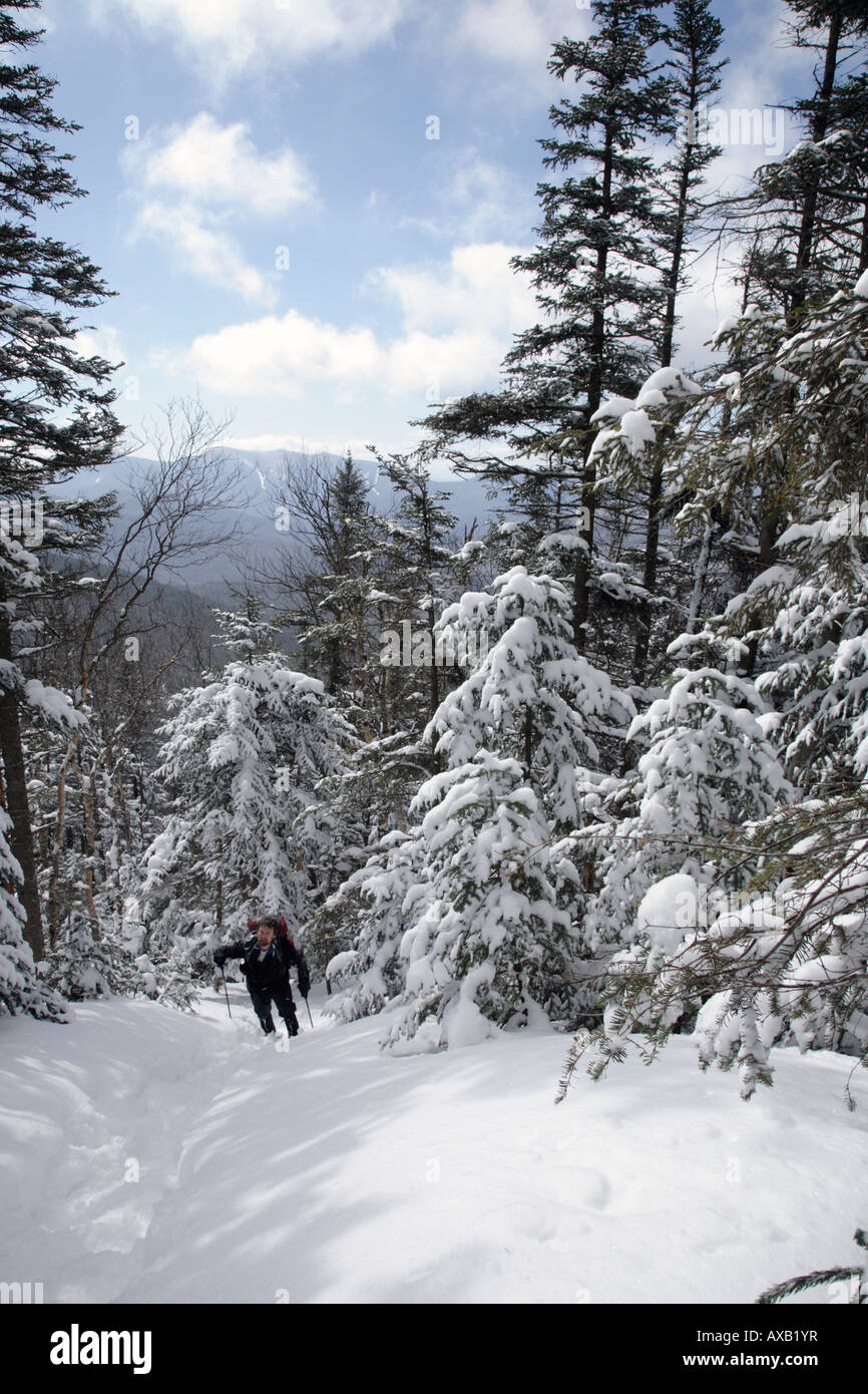 Hikers snowshoeing on the Hancock Loop Trail in the White Mountains New ...
