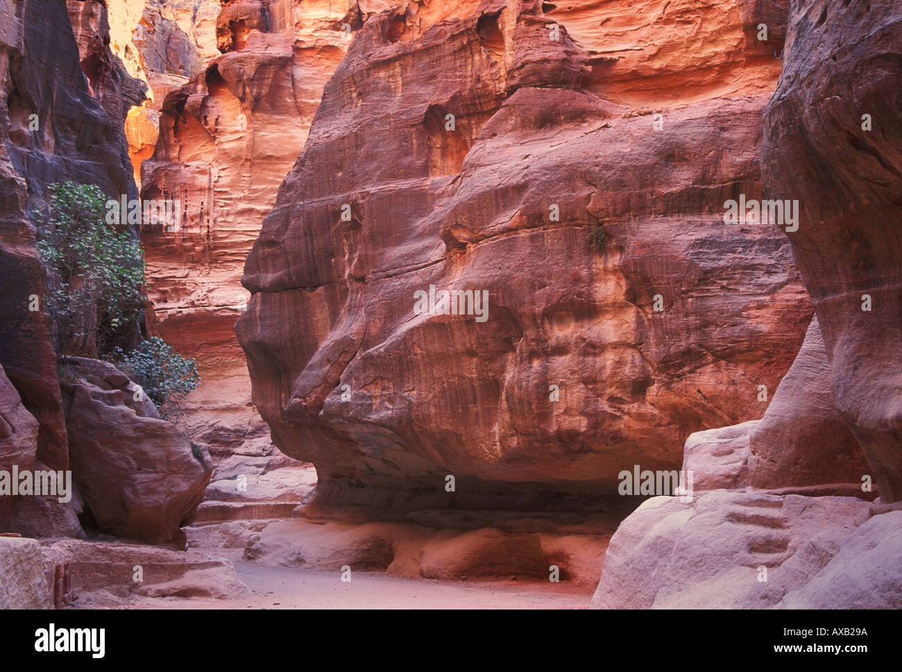 Polychromic sandstone walls of the Siq a natural mountain fissure to al ...