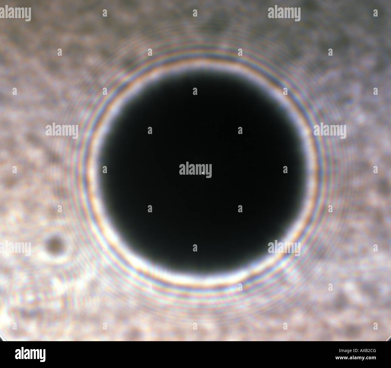 Diffraction of white light round a small ball bearing showing a bright ...