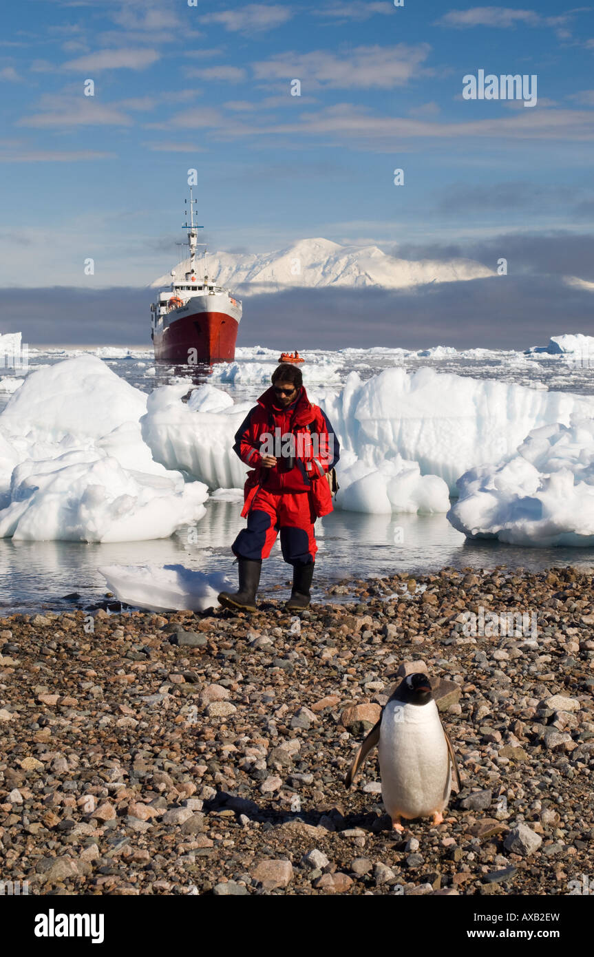 Antarctica Antarctic Peninsula Gerlache strait Stock Photo - Alamy