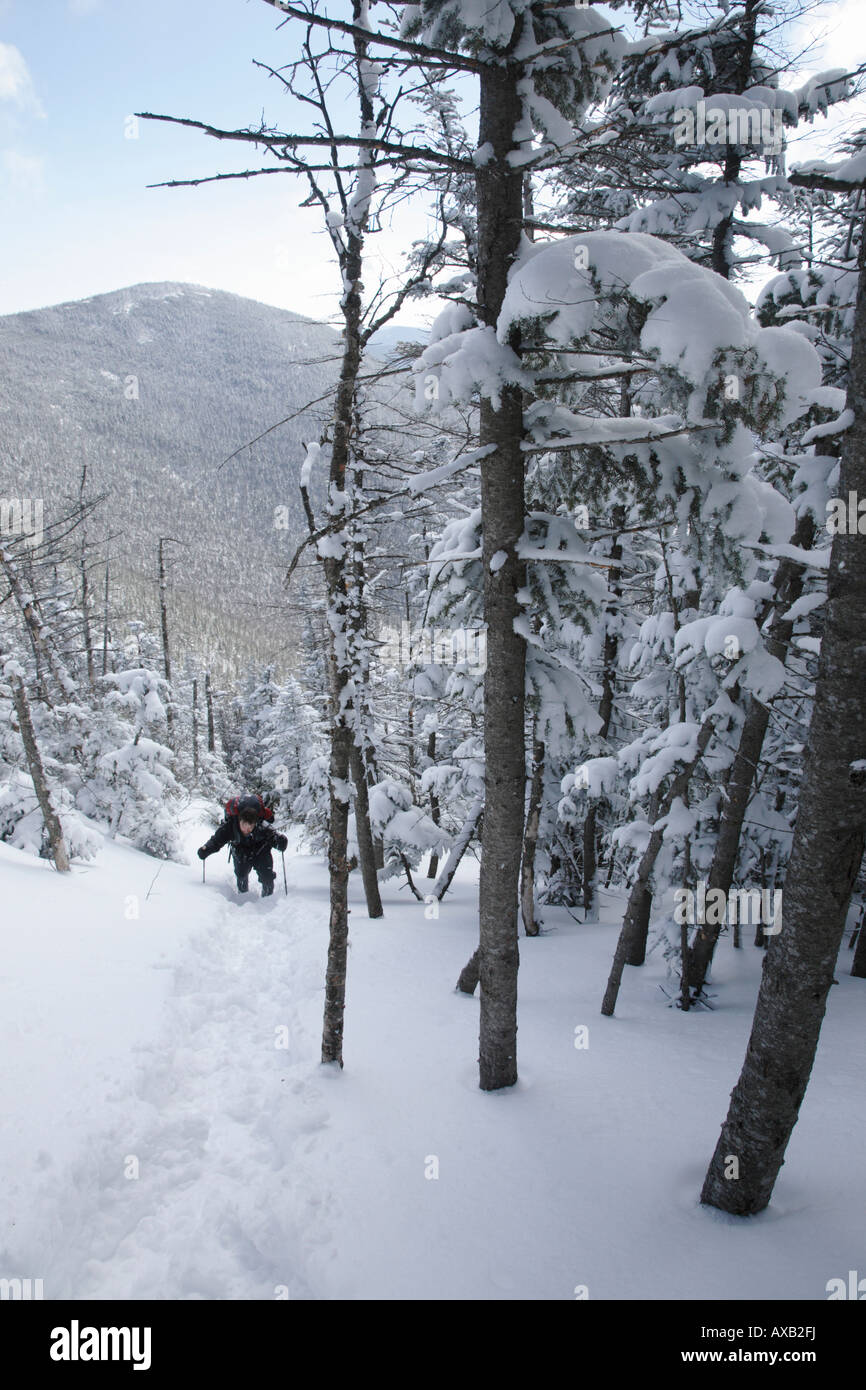 Hikers snowshoeing on the Hancock Loop Trail in the White Mountains New ...