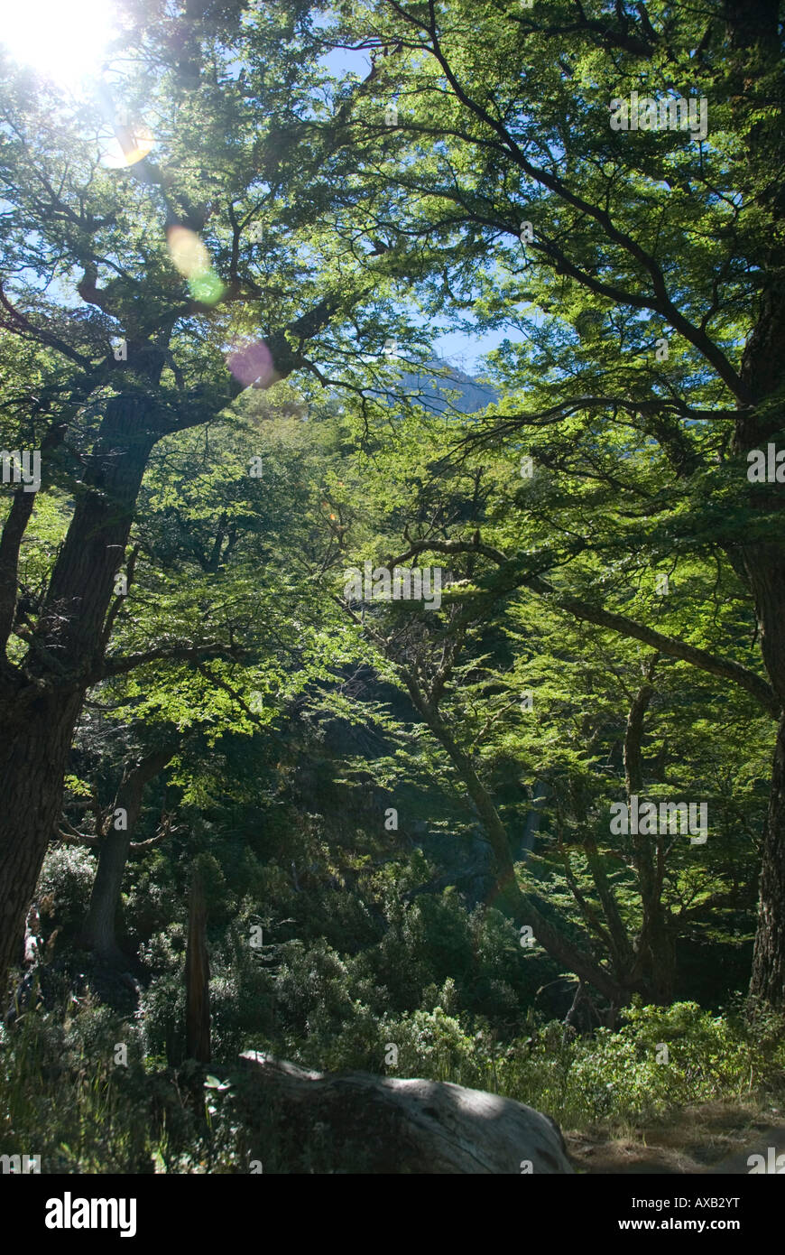 Andian Mountains,Andes,Snow,Camping,Hiking,Patagonian Stepp, Melt ...