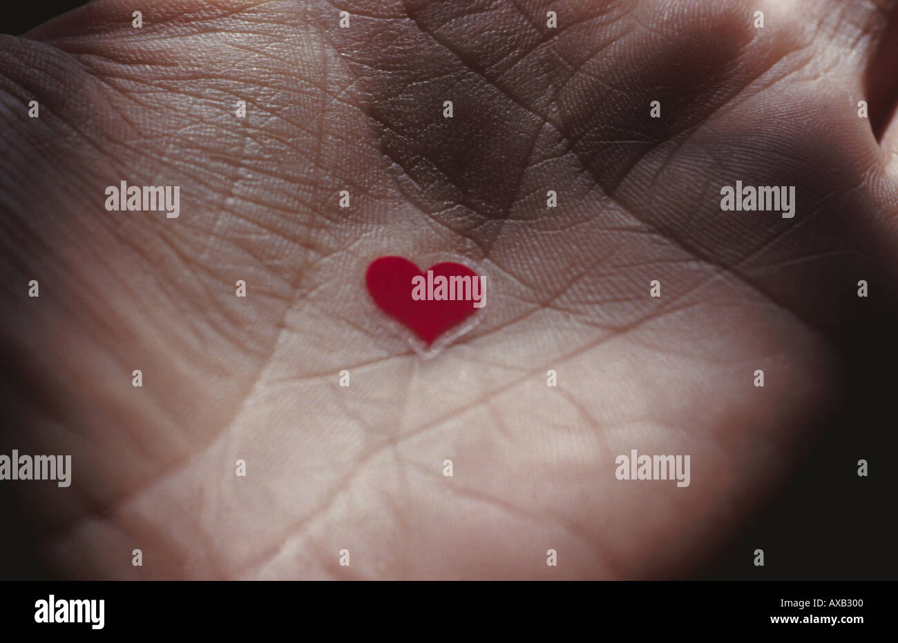 HEART IN HAND Stock Photo - Alamy