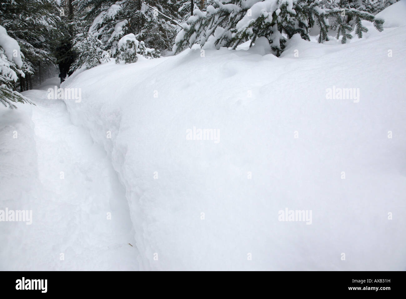 Hikers snowshoeing on the Hancock Notch Trail during the winter months ...