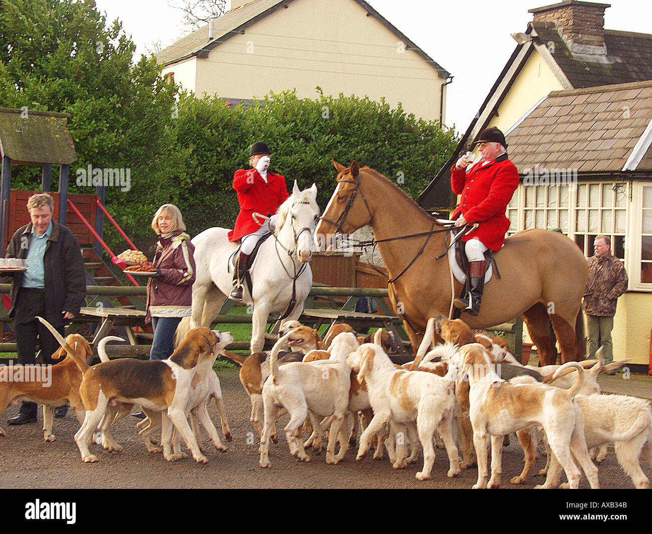 Horses and Hounds Fox Hunting Wales UK RM1 Stock Photo - Alamy