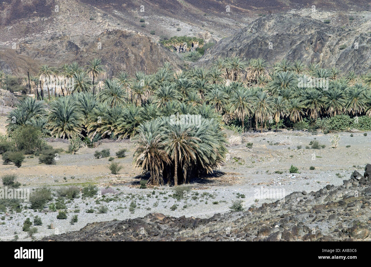 Rabigh saudi arabia hi-res stock photography and images - Alamy