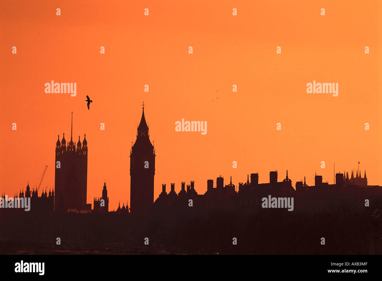 Sunset, Houses of Parliament, London, England, Great Britain Stock ...