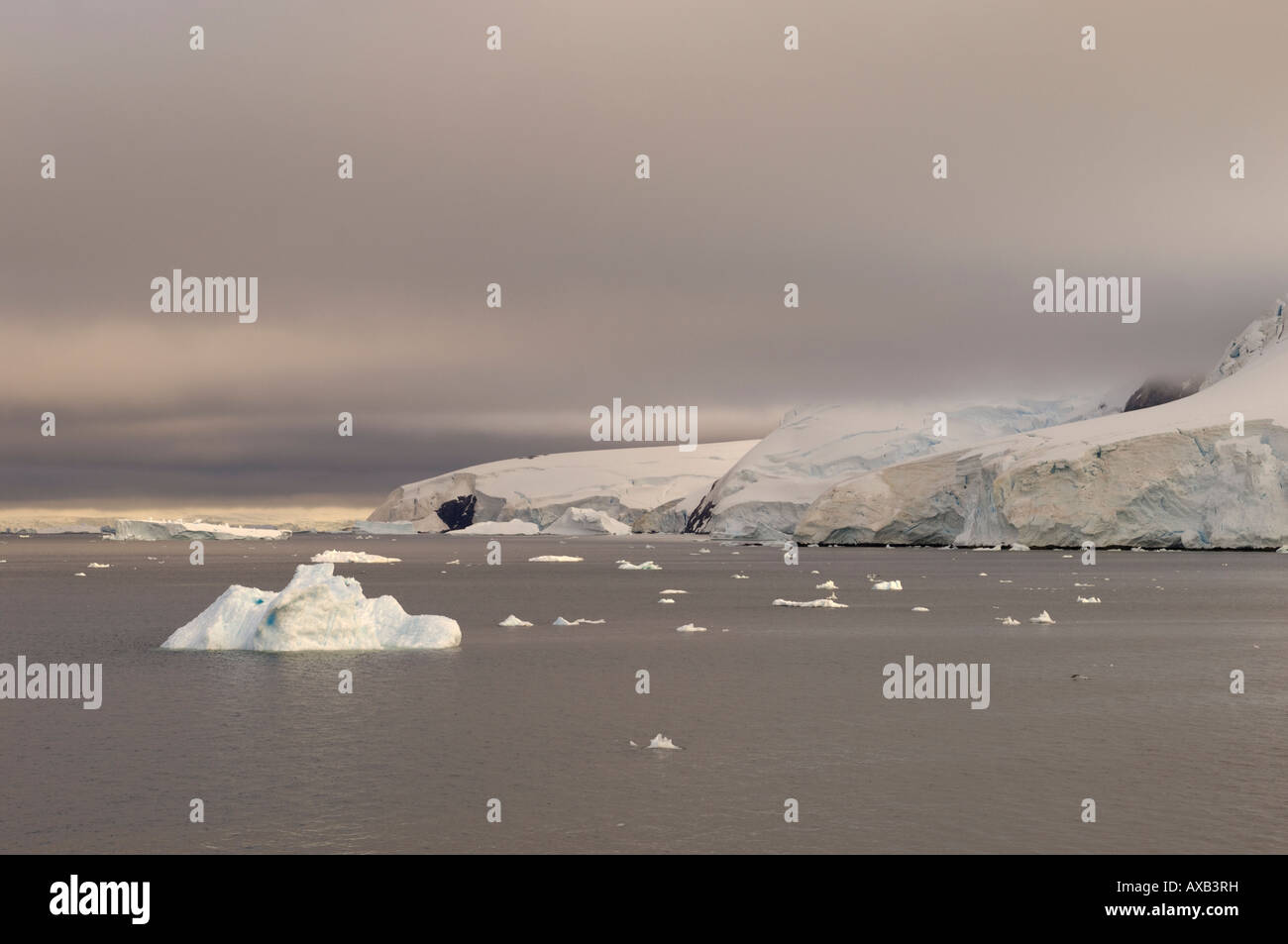 Antarctica Antarctic Peninsula Gerlache strait Stock Photo - Alamy