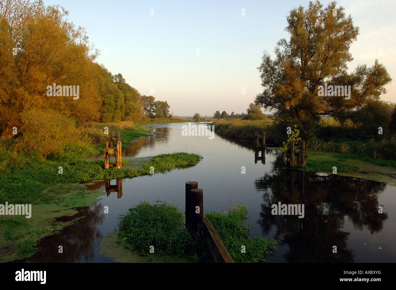 The river Trebel, Tribsees, Germany Stock Photo - Alamy