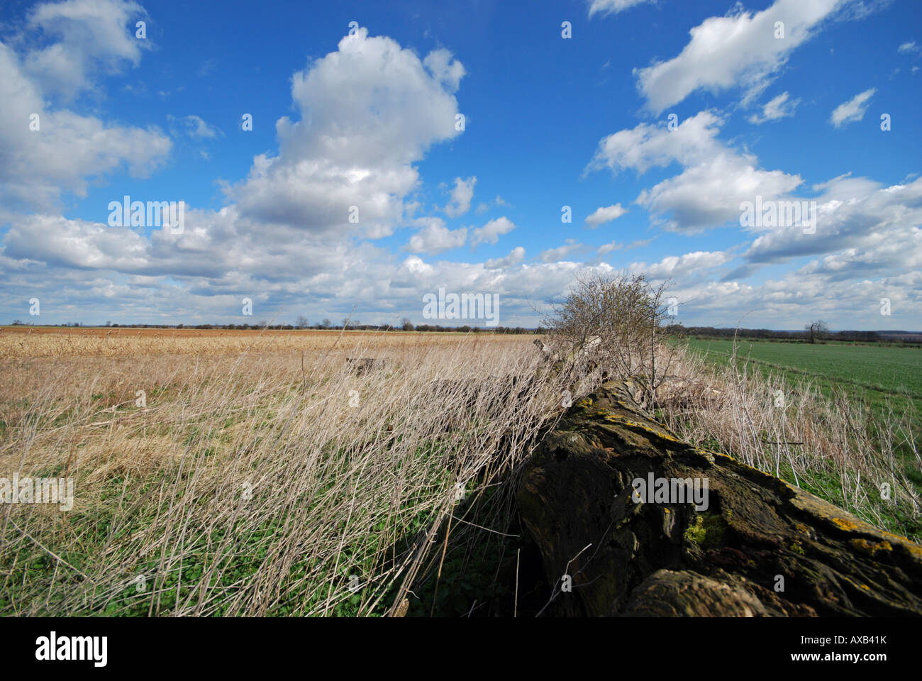 Sudbrook High Resolution Stock Photography and Images - Alamy