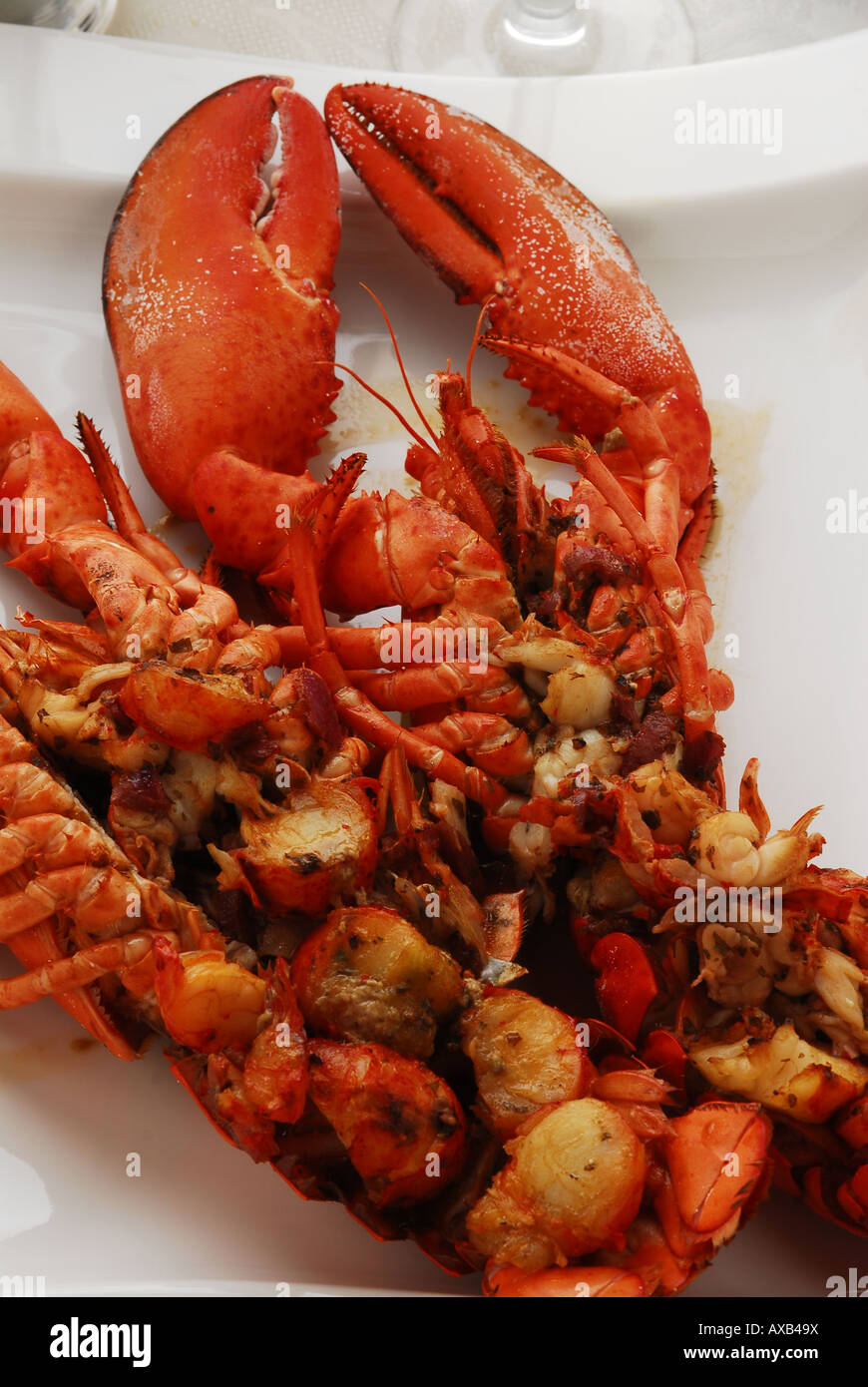Lobster homarus vulgaris hi-res stock photography and images - Alamy
