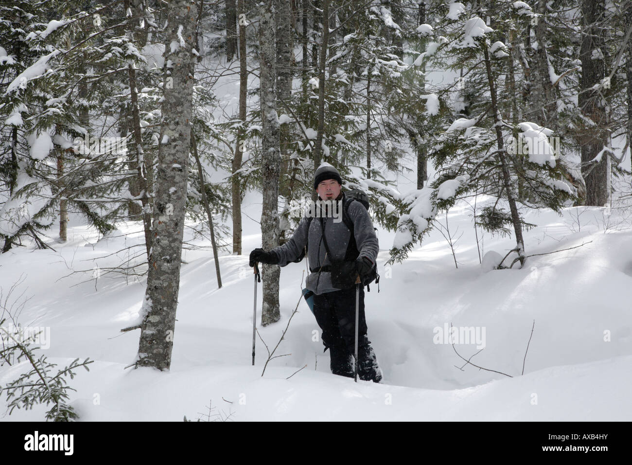Hikers snowshoeing on the Hancock Loop Trail in the White Mountains New ...