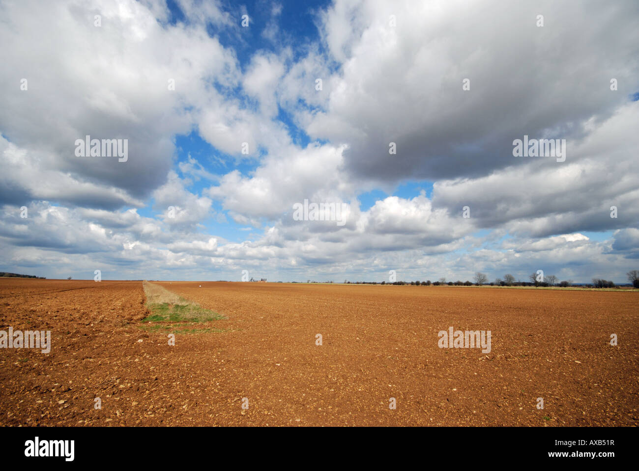 Agricultural landscape near Sudbrook, Lincolnshire, England Stock Photo ...