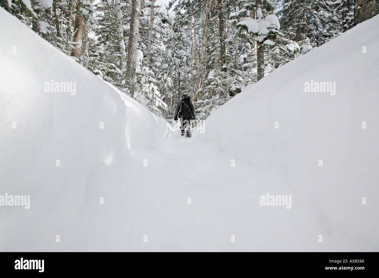 Hikers snowshoeing on the Hancock Loop Trail in the White Mountains New ...