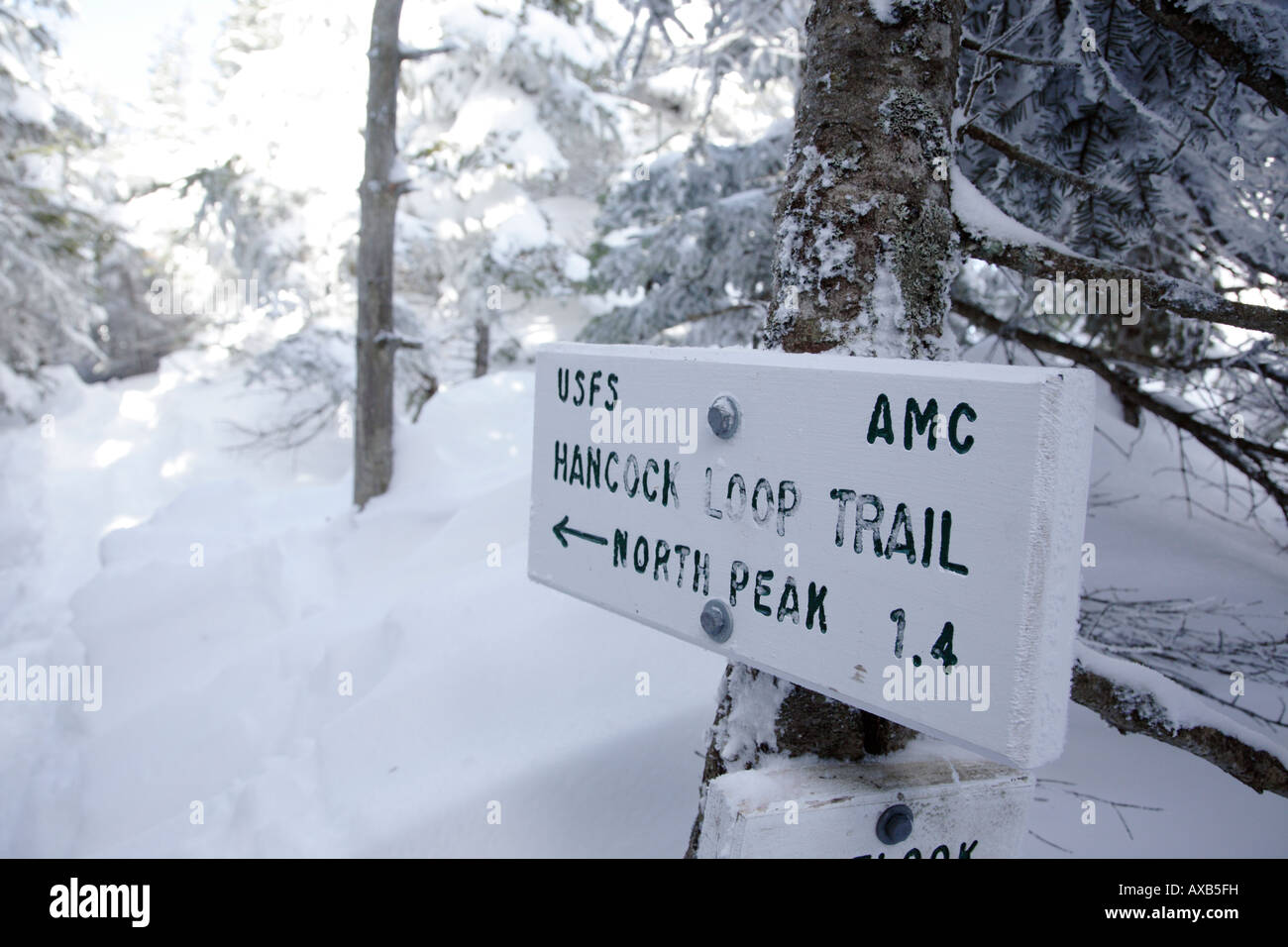 Hikers snowshoeing on the Hancock Loop Trail in the White Mountains New ...