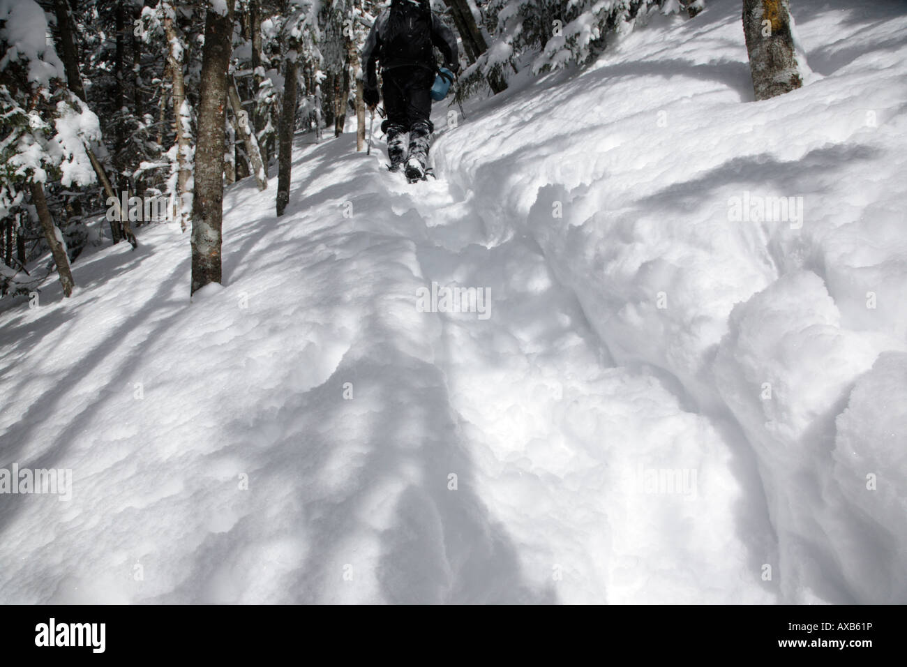 Hikers snowshoeing on the Hancock Loop Trail in the White Mountains New ...