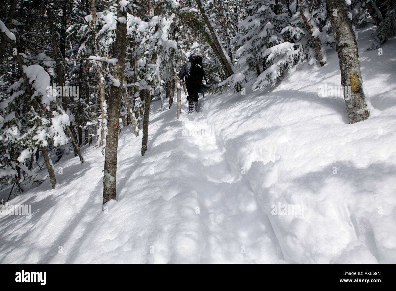 Hikers snowshoeing on the Hancock Loop Trail in the White Mountains New ...