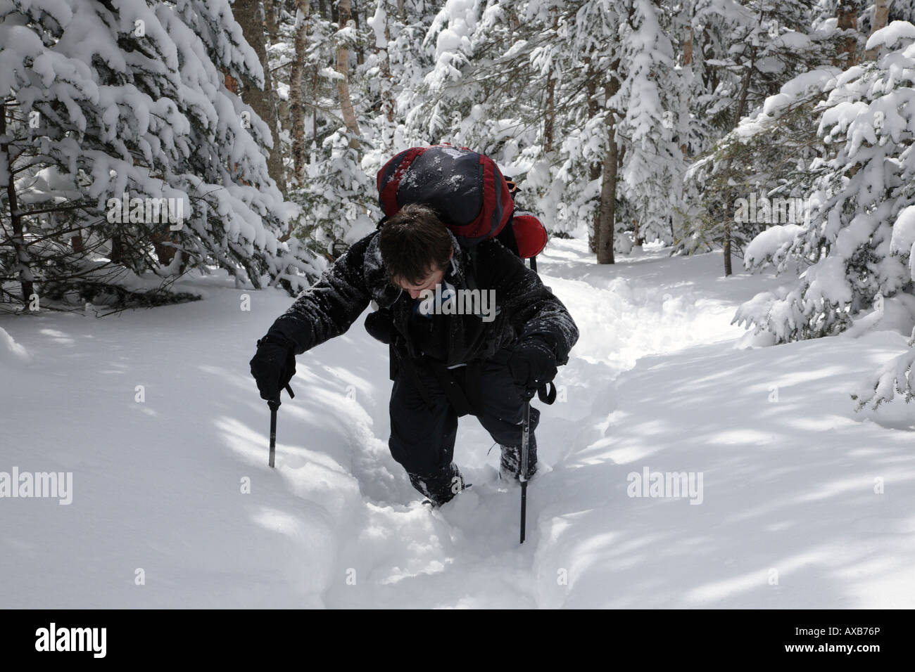 Hikers snowshoeing on the Hancock Loop Trail in the White Mountains New ...