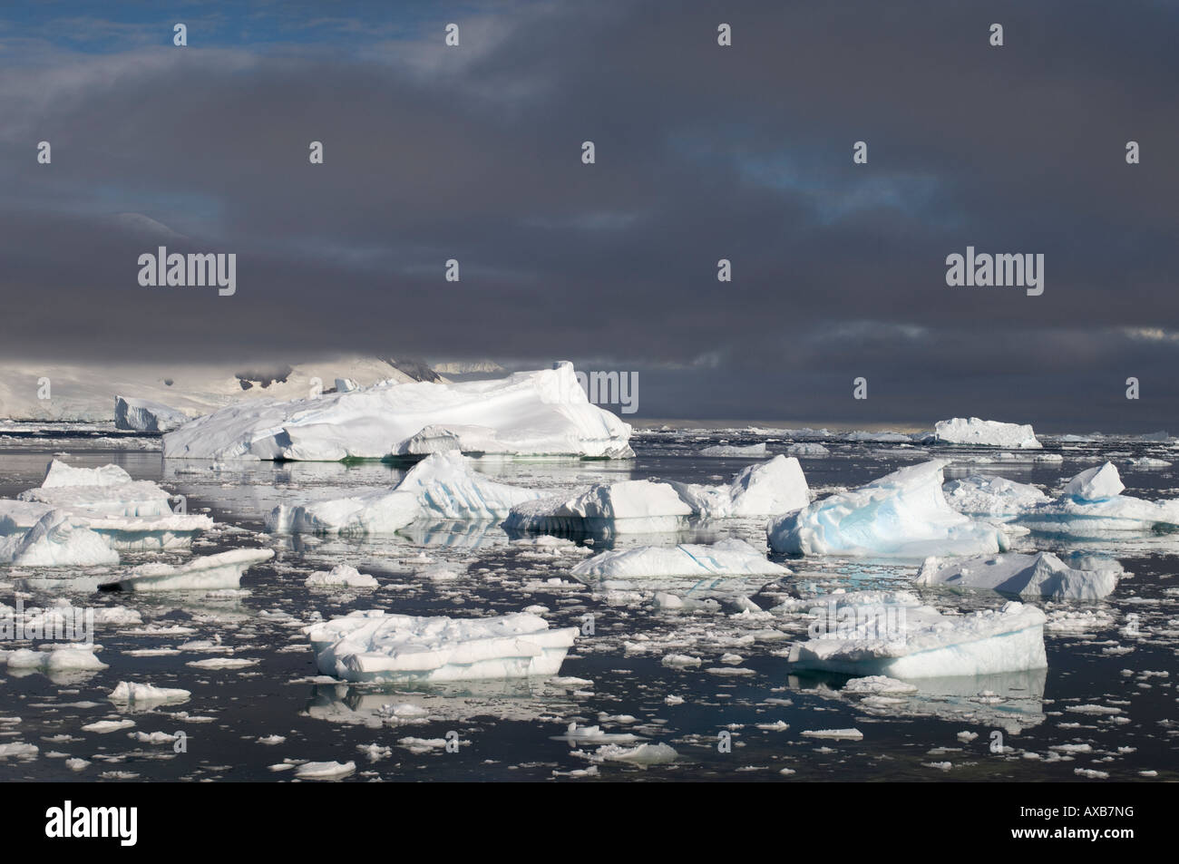Antarctic Peninsula Antarctica Gerlache Strait Stock Photo - Alamy