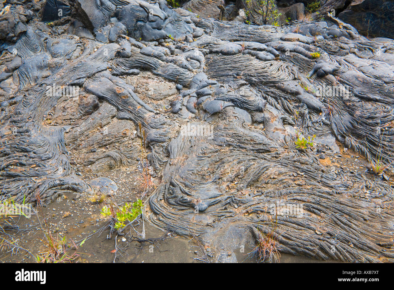 A hardened lava flow in Hawai i Volcanoes National Park Stock Photo - Alamy
